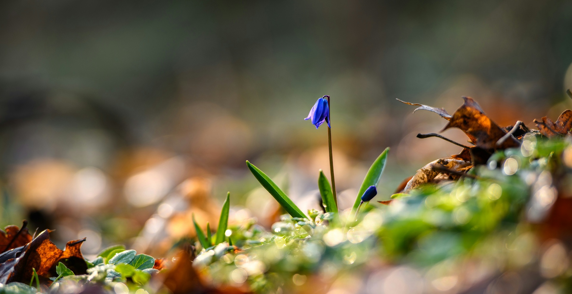 Foto-Rosenfeld | Fotograf aus Riesa kontaktieren und buchen