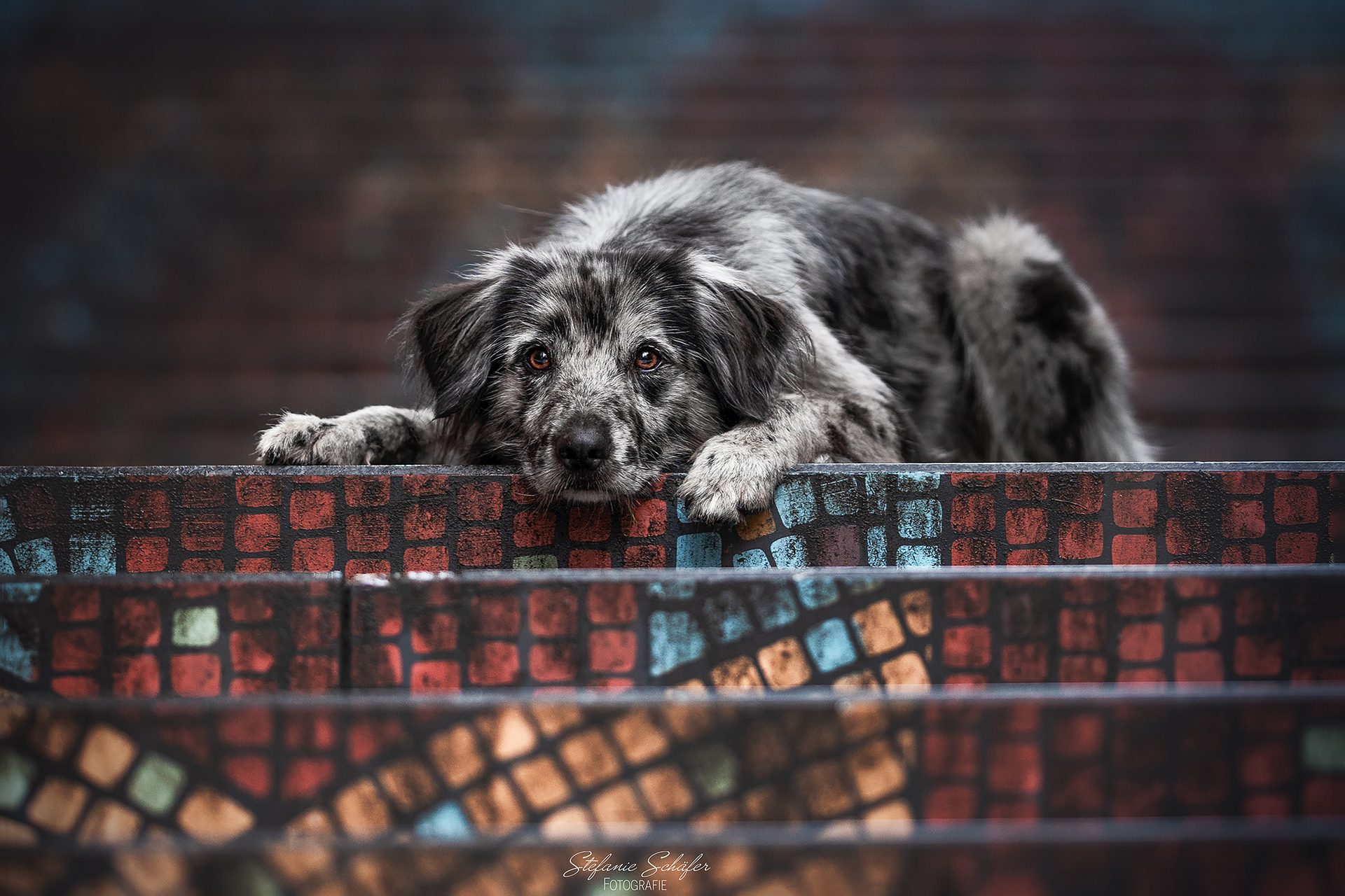 Stefanie Schäfer | Fotografin aus Stuttgart kontaktieren und buchen
